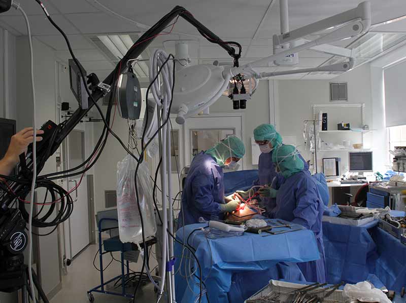 Medical: Surgery-3D | indiecam